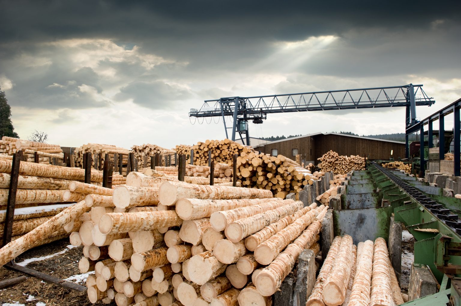 Hunt Forest Products And Tolko Industries Announce New Sawmill In ...