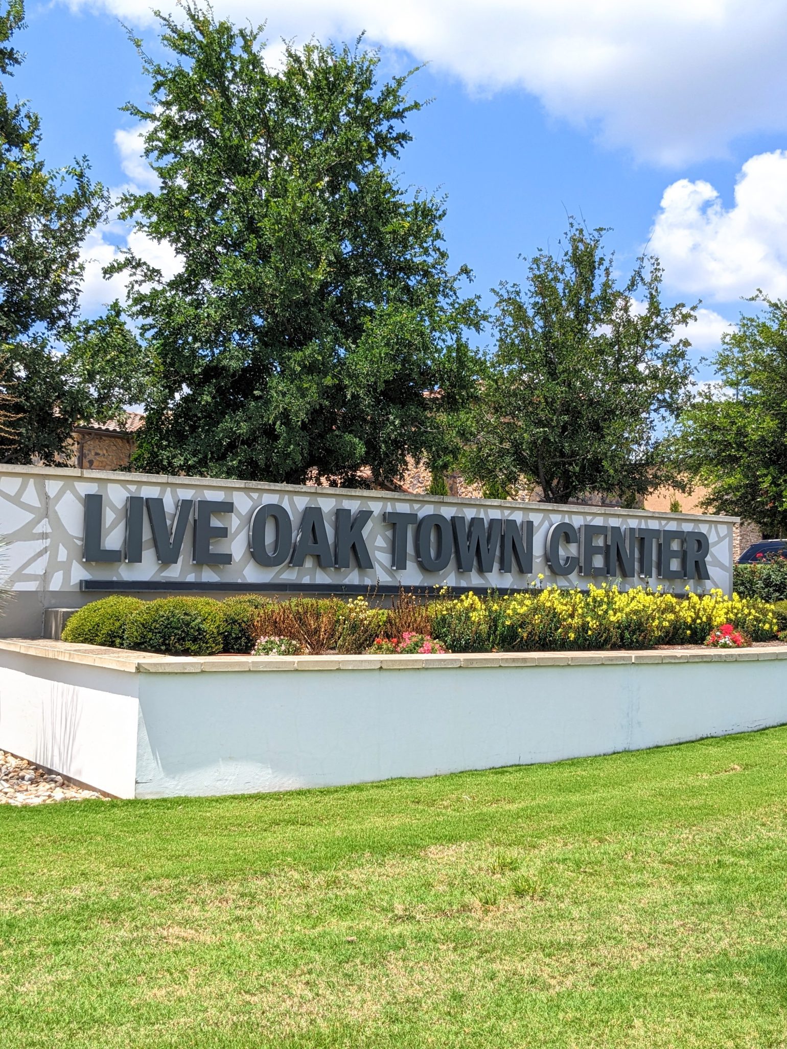 Live Oak, Texas: A Thriving Hub for Business Growth - Expansion Solutions